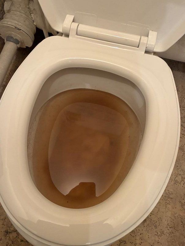 Case Study: Helped Unblock 2 Toilets and A Drain in Maidstone